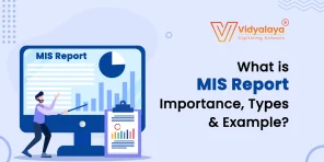 What is MIS Report Importance, Types & Example? | Vidyalaya